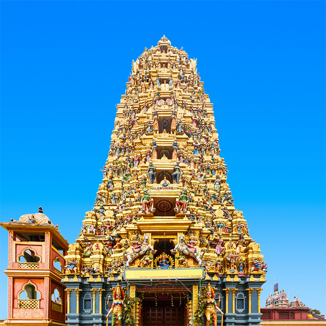 3 Days Tour Package Sri Lanka | Explore Sri Lanka with Private Guide ...